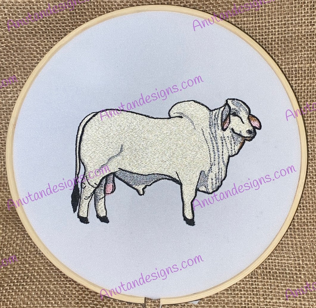 Brahman Bull – Anu-Tan Designs